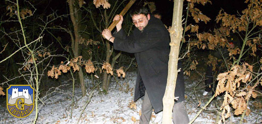 BADNJAK - TRADICIONALNO DOMAĆINSKI - Општина Сврљиг